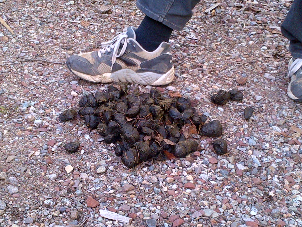 Spreadsheet of the day: The latest Apple price targets - MacDailyNews